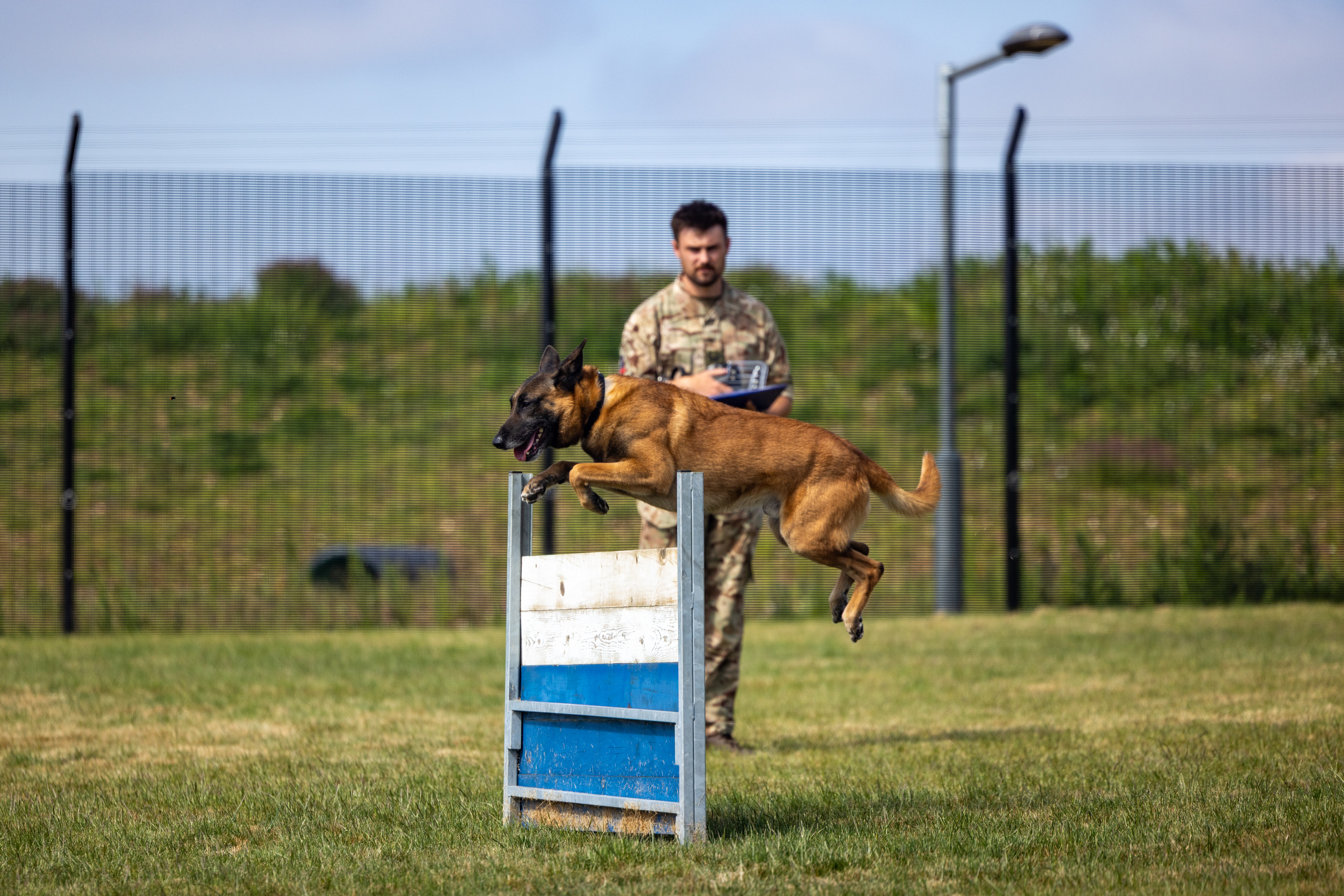 Guardians on Four Legs: RAF Police Dogs at the Heart of Enabling Air ...