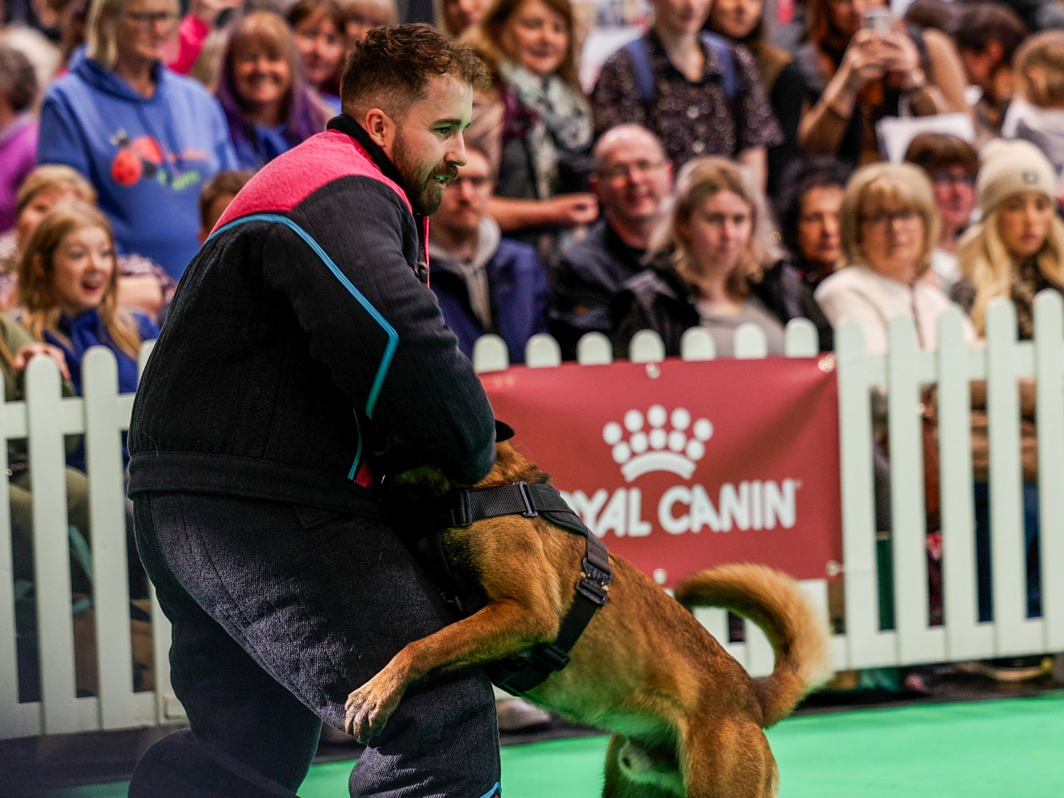 RAF Police Showcase Capabilities at Crufts 2025 | Royal Air Force