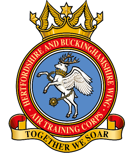 Raf Cadets Logo 739 (Scarborough) Squadron; Air Cadets Structure
